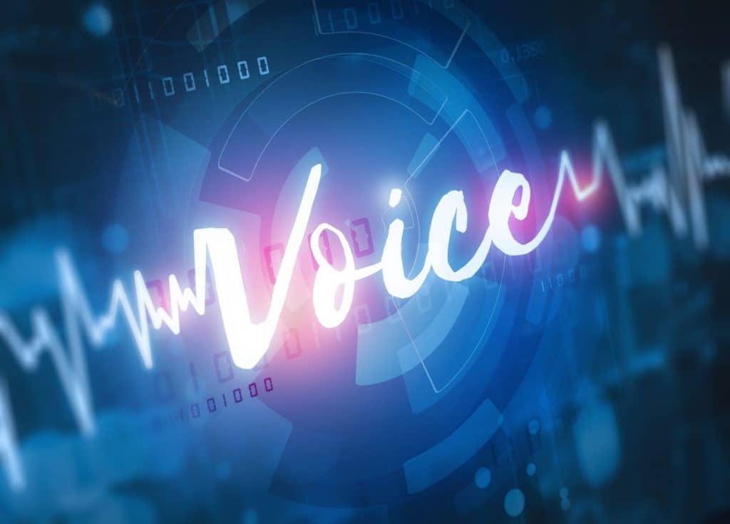 Voice biometrics expert witness: signal processing enables new forms of ...